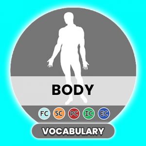 El cuerpo-The body - Spanish Circles